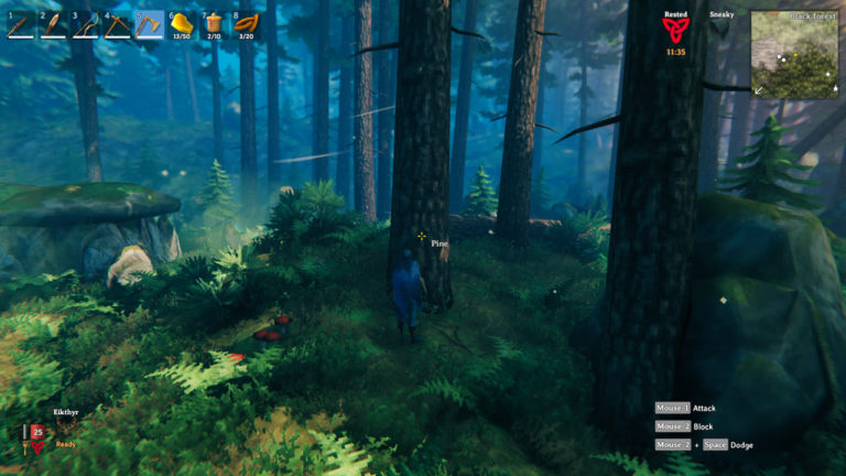 Wo man Core Wood in Valheim bekommt | Komponenten PC