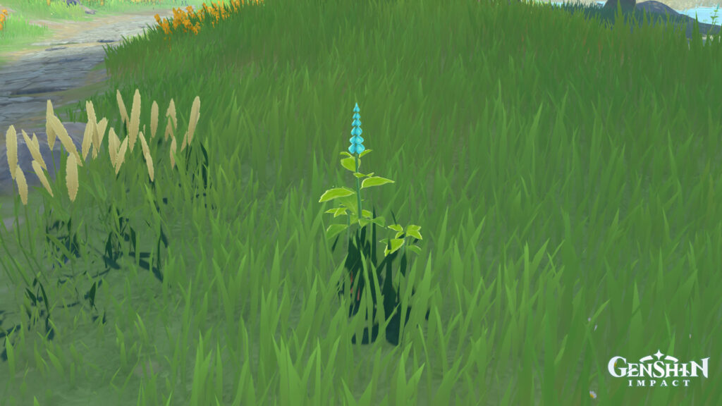 Wo Minze in Genshin Impact zu finden | Komponenten PC