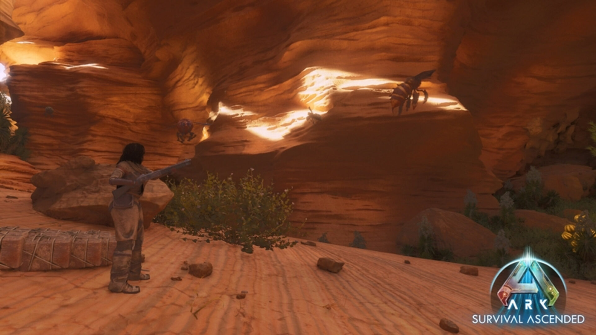 ARK Survival Ascended Honey & Queen Bees Standort | Verbrannte Erde | Komponenten PC